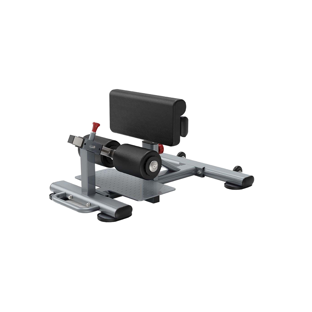 Sissy Squat Versatility - MR FITNESS