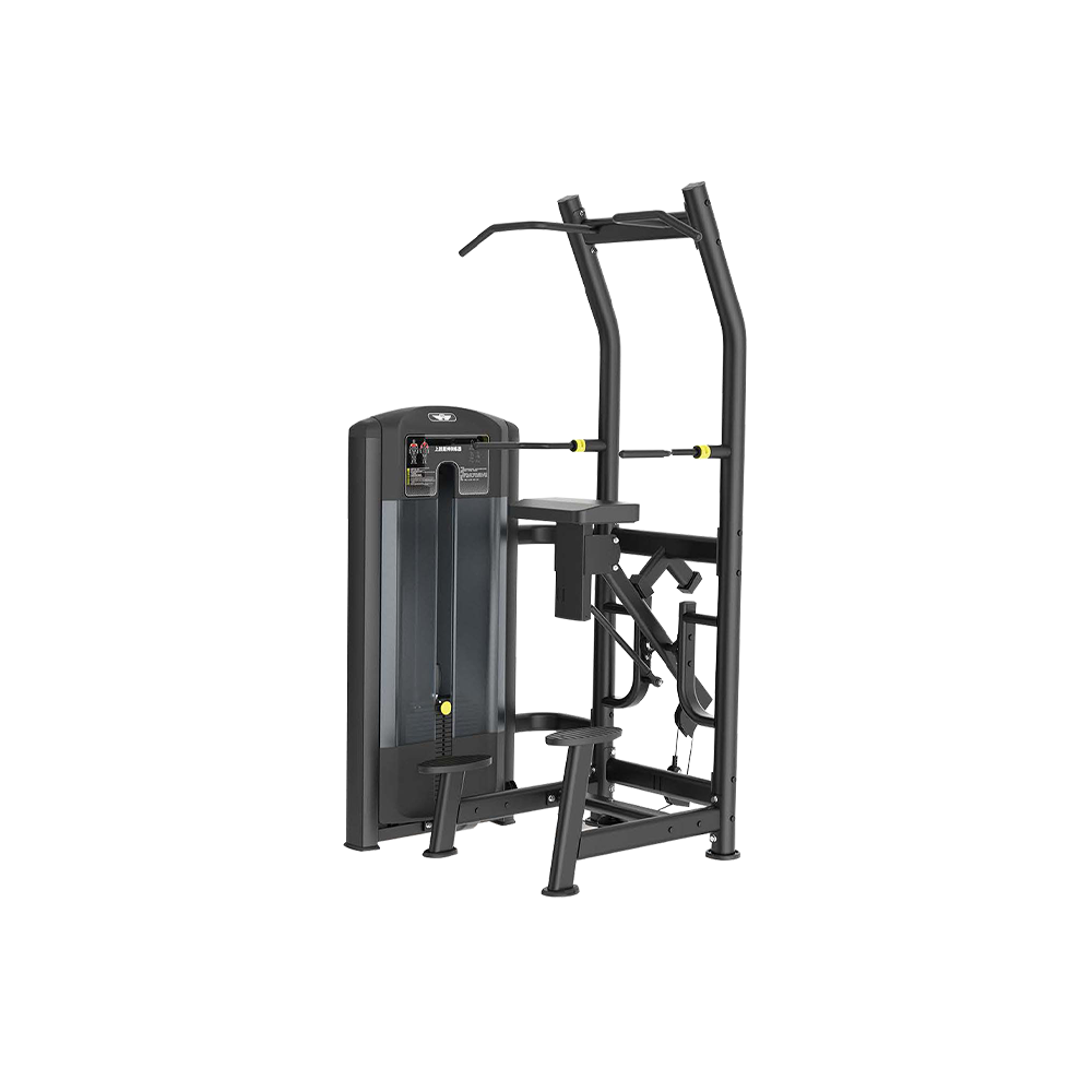 Assisted Chin Dip Apex - MR FITNESS