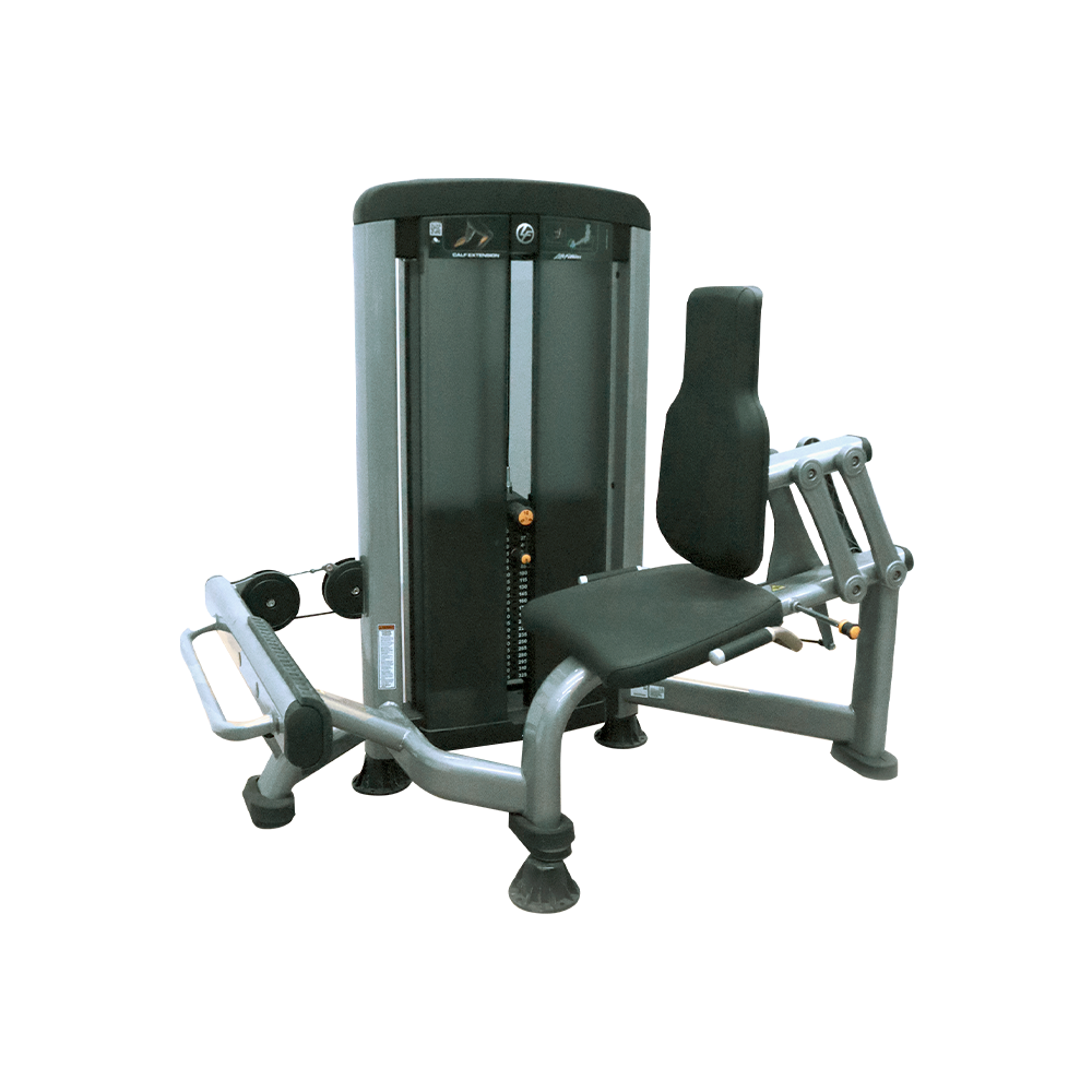 Calf Extension Life Fitness - MR FITNESS