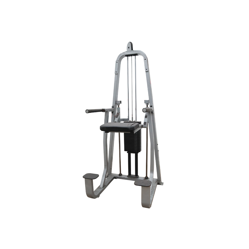 Chin Dip Assist Precor - MR FITNESS