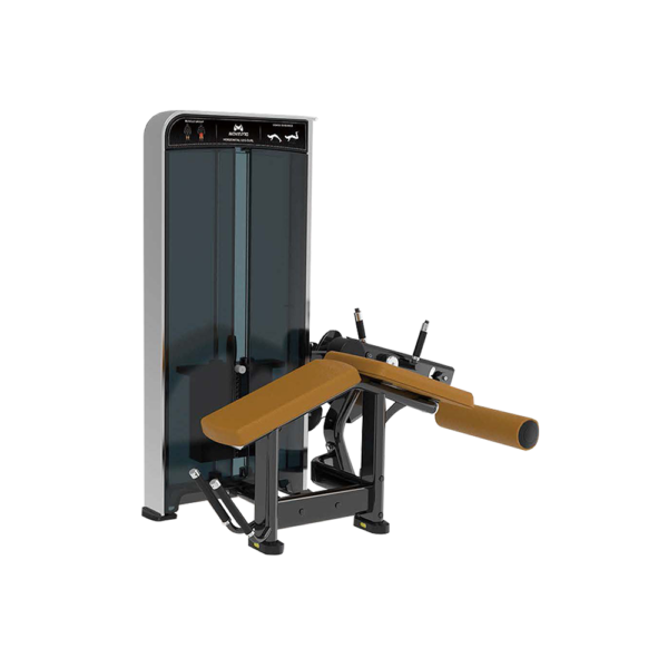 Horizontal Leg Curl Apex - MR FITNESS