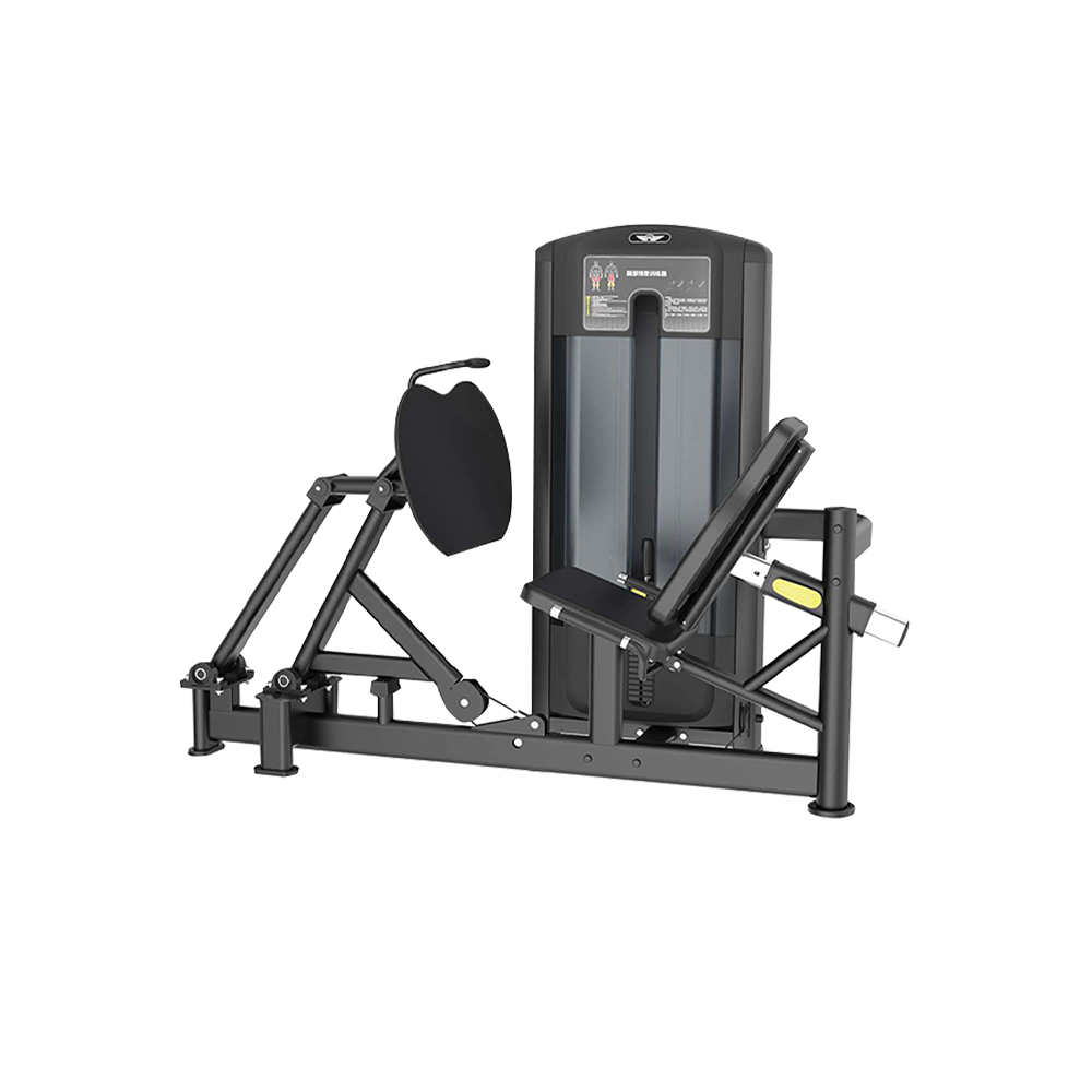Leg Press Apex - MR FITNESS