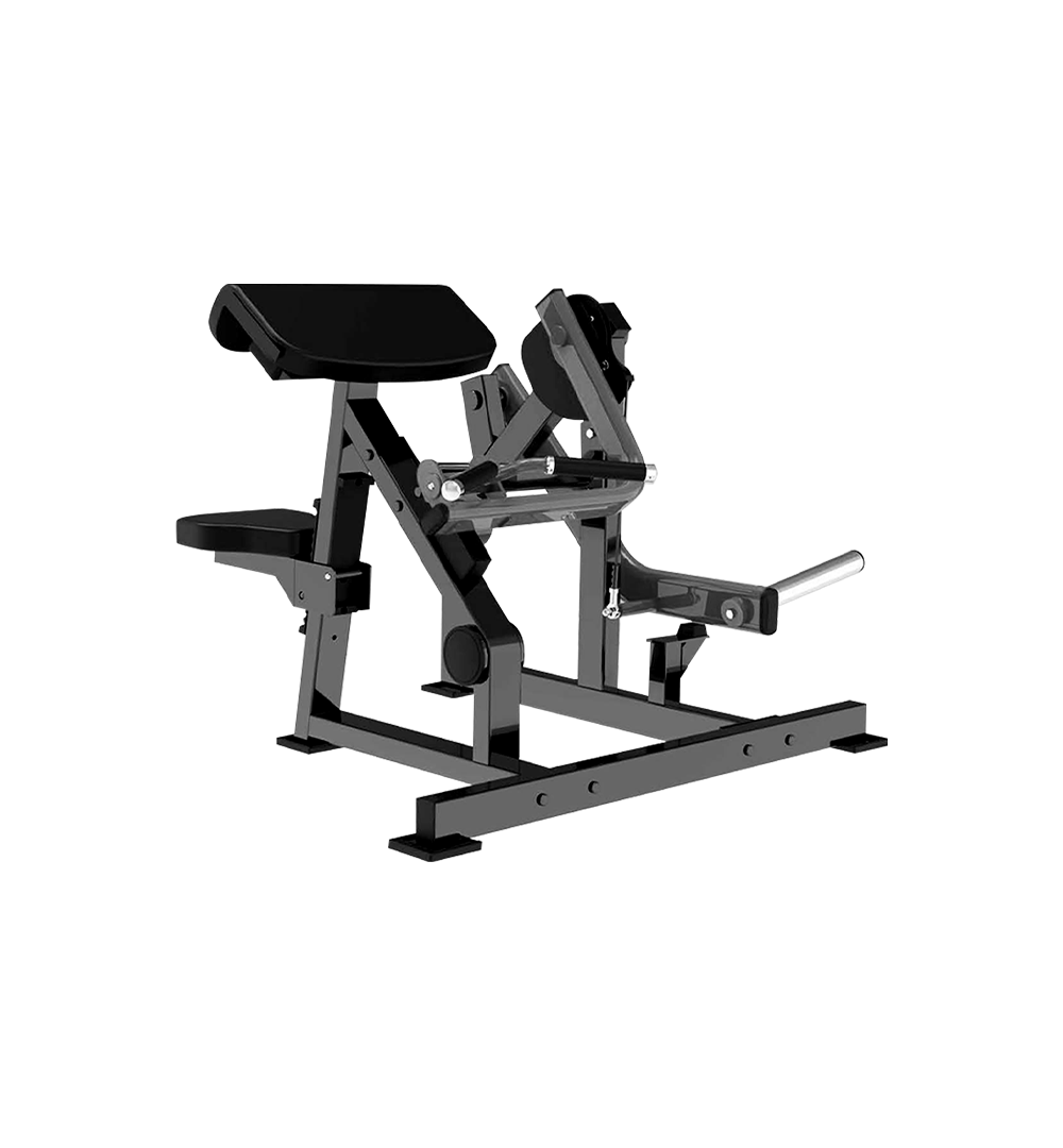 Seated Bicep Apex - MR FITNESS