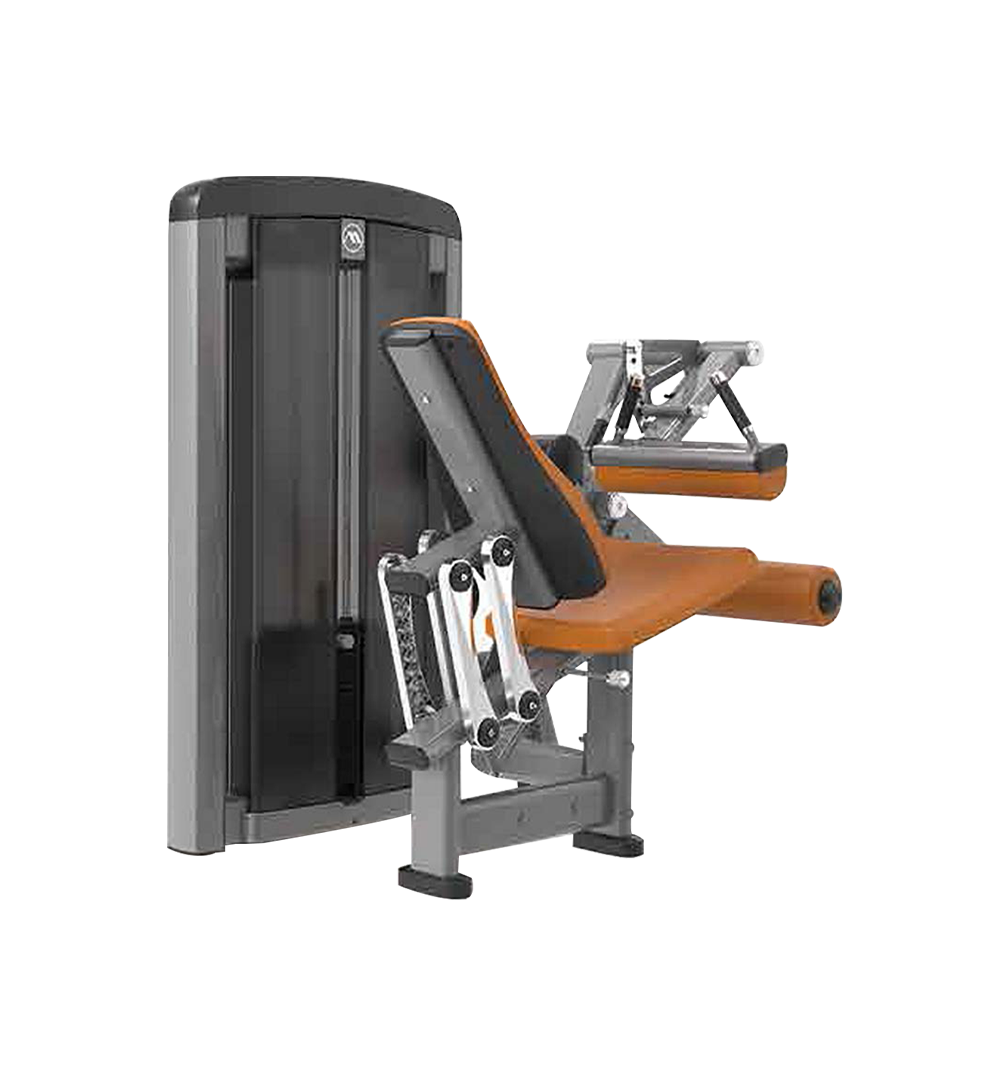 Seated Leg Curl Apex - MR FITNESS